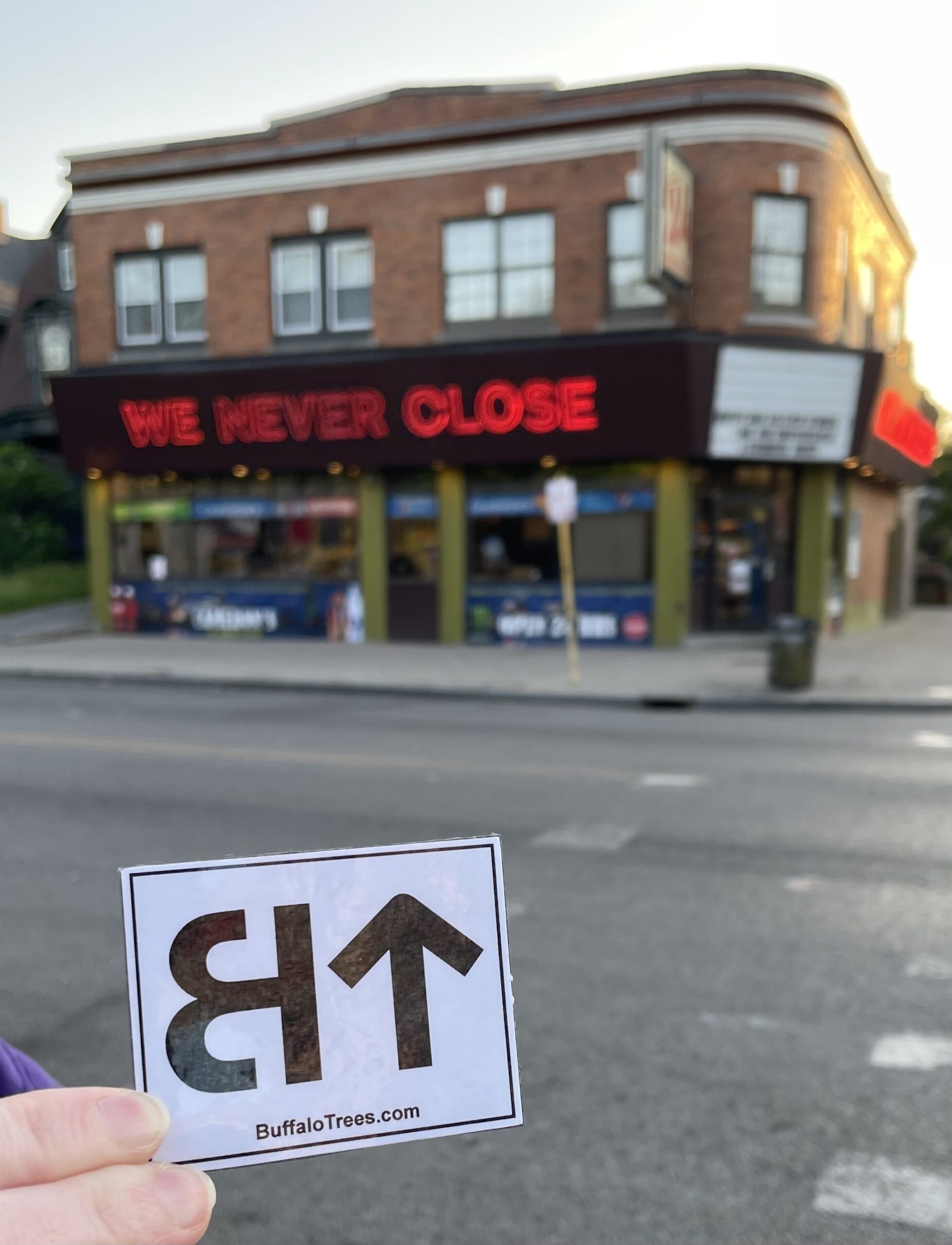 Gallery – Buffalo Trees